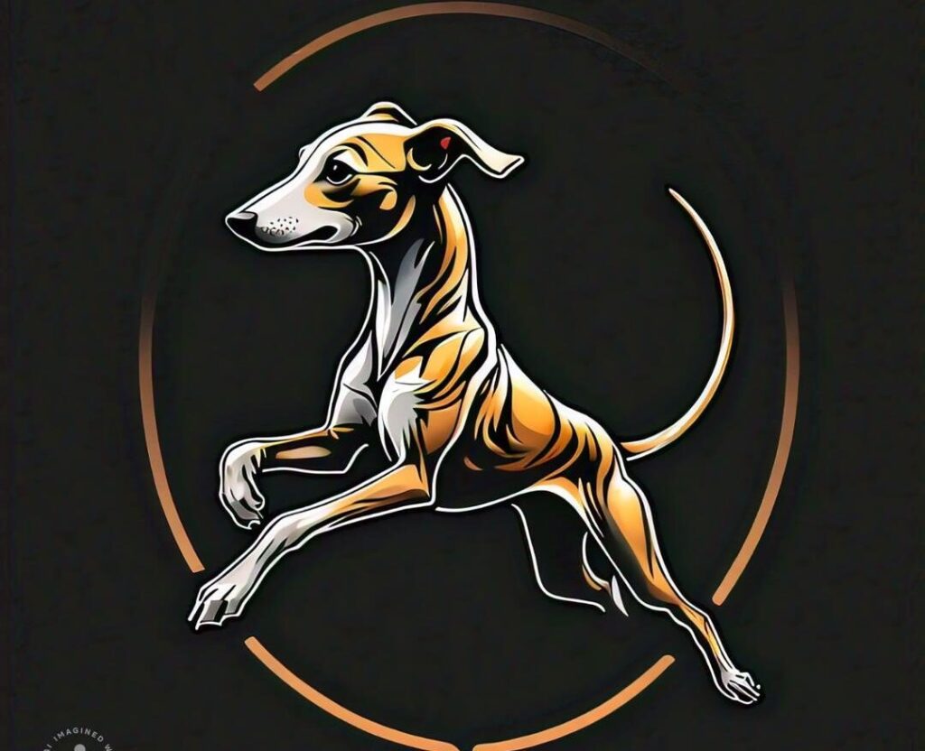Italian Greyhound Puppies For Adoption - Adorable Puppies